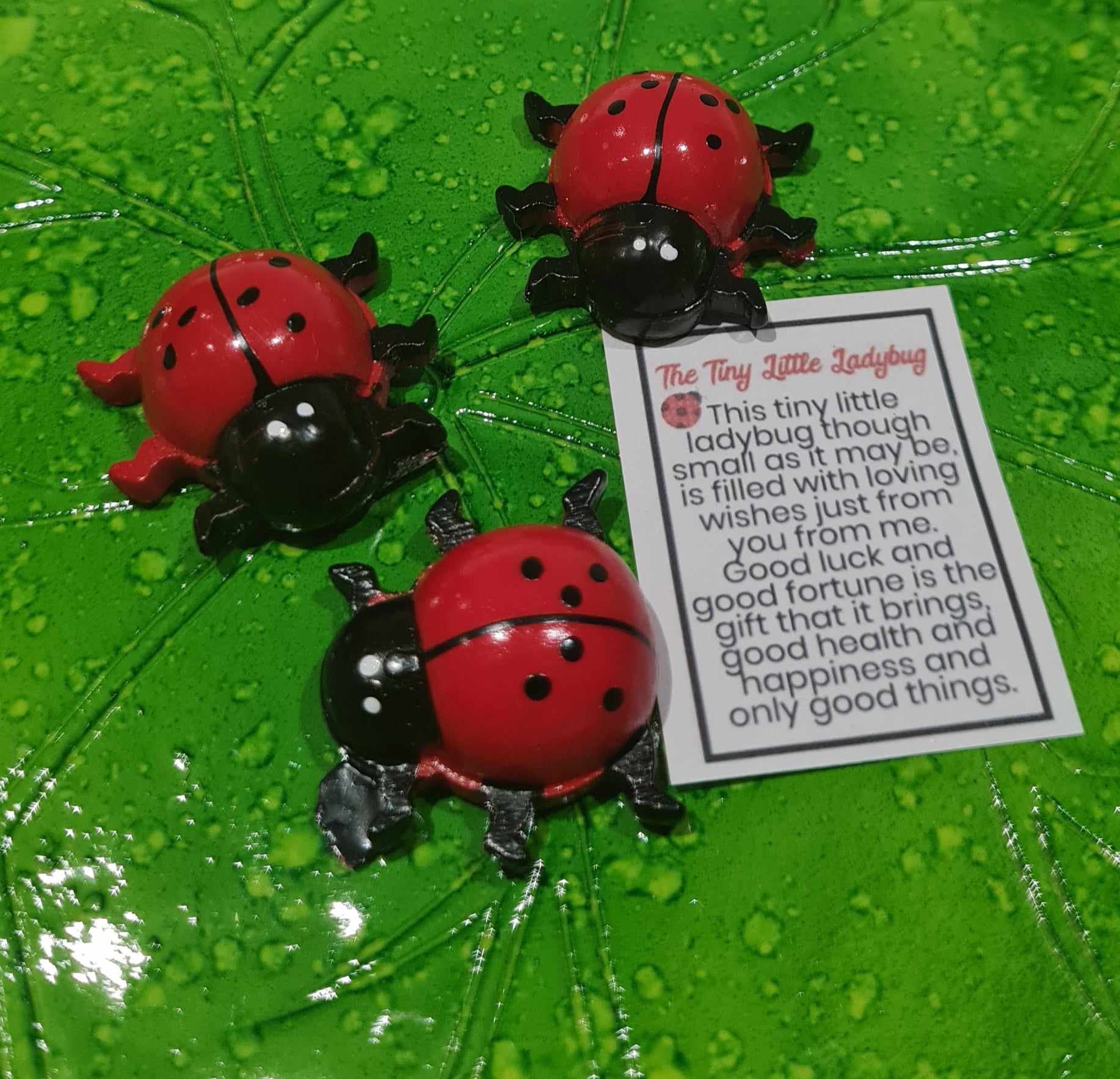 Mini Lady Bugs - Set of 3 – 10Cats
