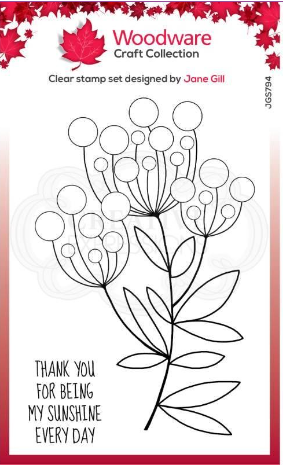 Woodware Craft Collection - Bubble Bloom Trinny – 10Cats